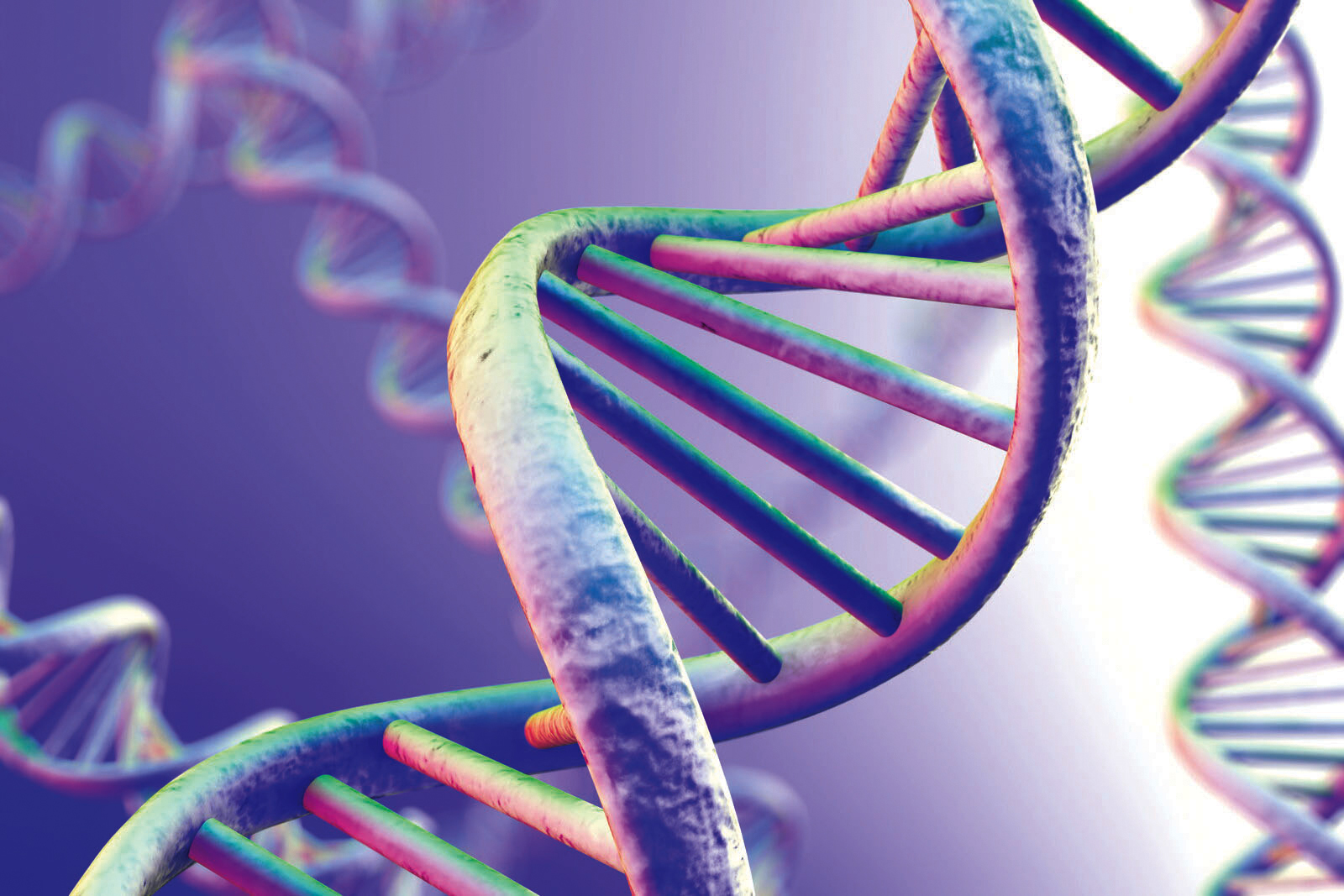 Diseases - Rehab & Community Care Medicine Magazine